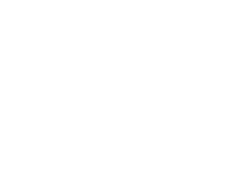 Polk Audio Logo